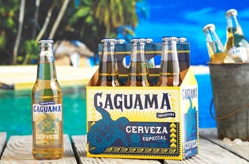 ¿Qué es una caguama? Historia, evolución e impacto cultural en México ...