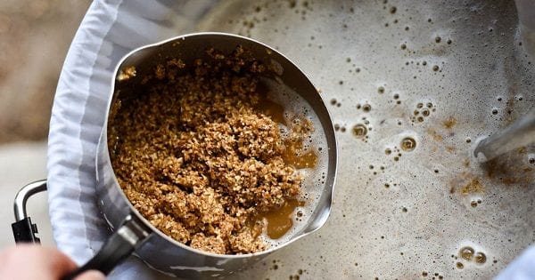 ¿Qué es la maceración de la malta? Descubre todos sus secretos para ...