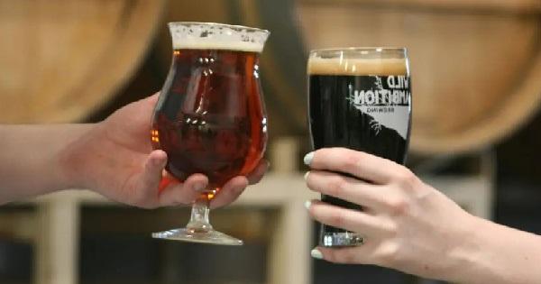 ¿Qué es la fermentación mixta? Taxonomía, cepas e interacción ...